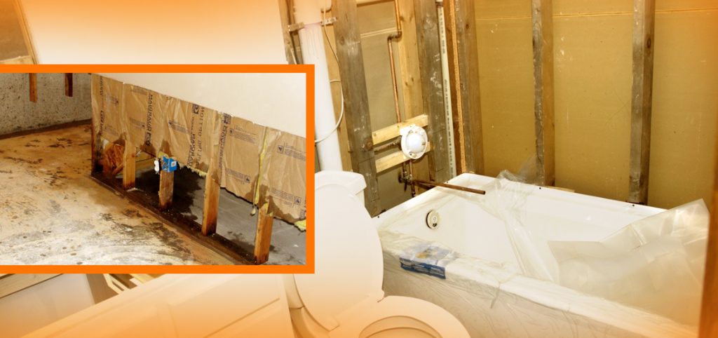 How to Check for Water Damage Behind The Shower Wall?